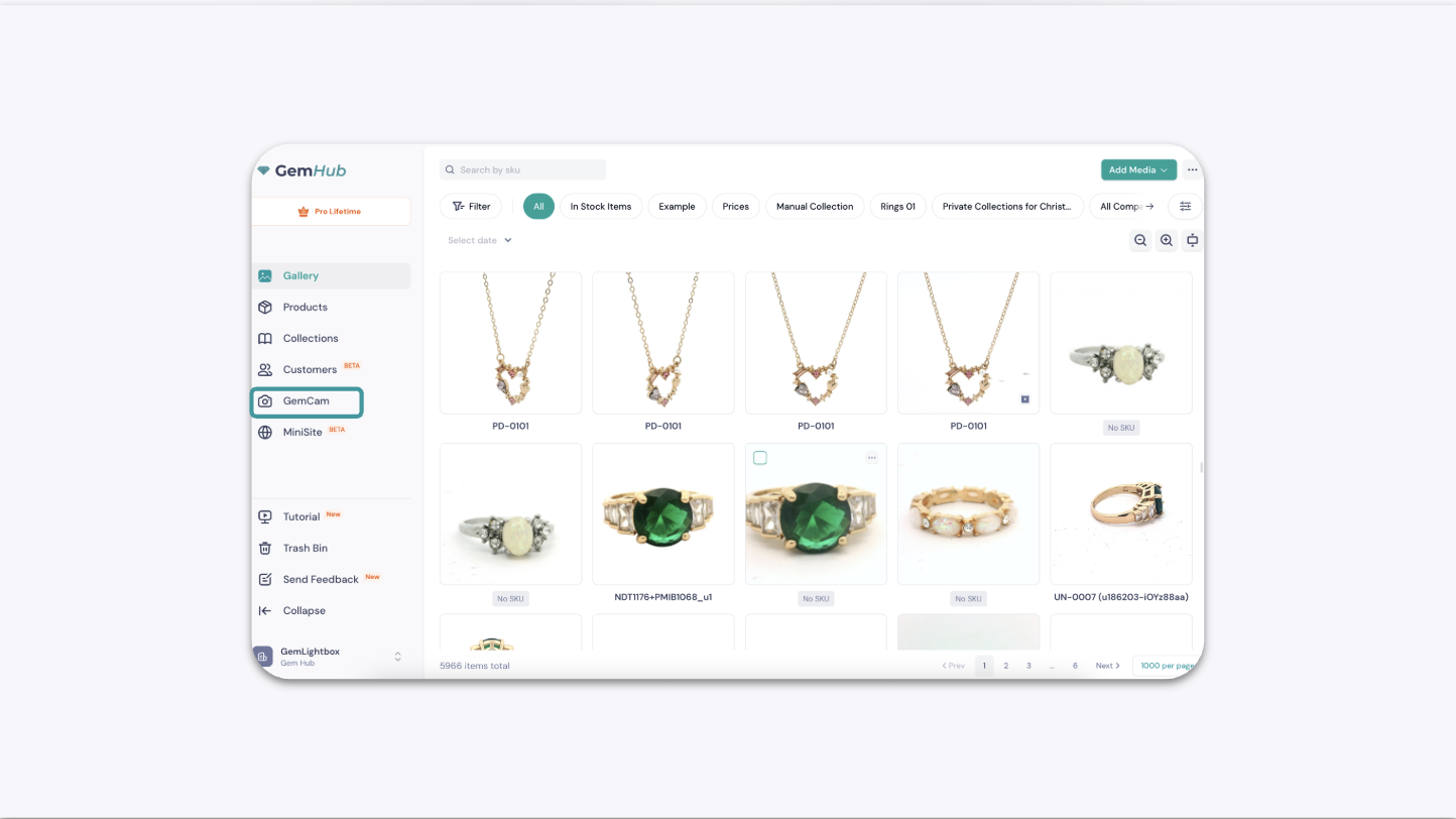 Setting Up Your GemCam On Desktop